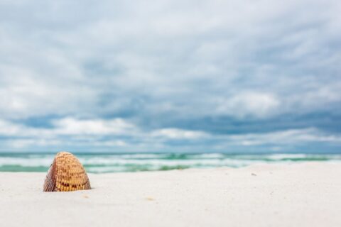 Visitor's Guide & Tips For Shell Island Florida! - ALWAYS ON THE SHORE