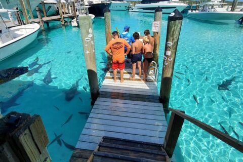 Nassau To Exuma- Best Day Trip Options! - ALWAYS ON THE SHORE
