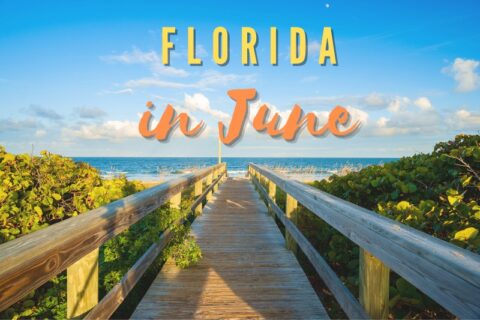 Planning a Florida Trip in June? Here's What to Expect - ALWAYS ON THE ...