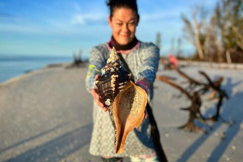5 Highest-Rated Marco Island Shell Tours! - ALWAYS ON THE SHORE