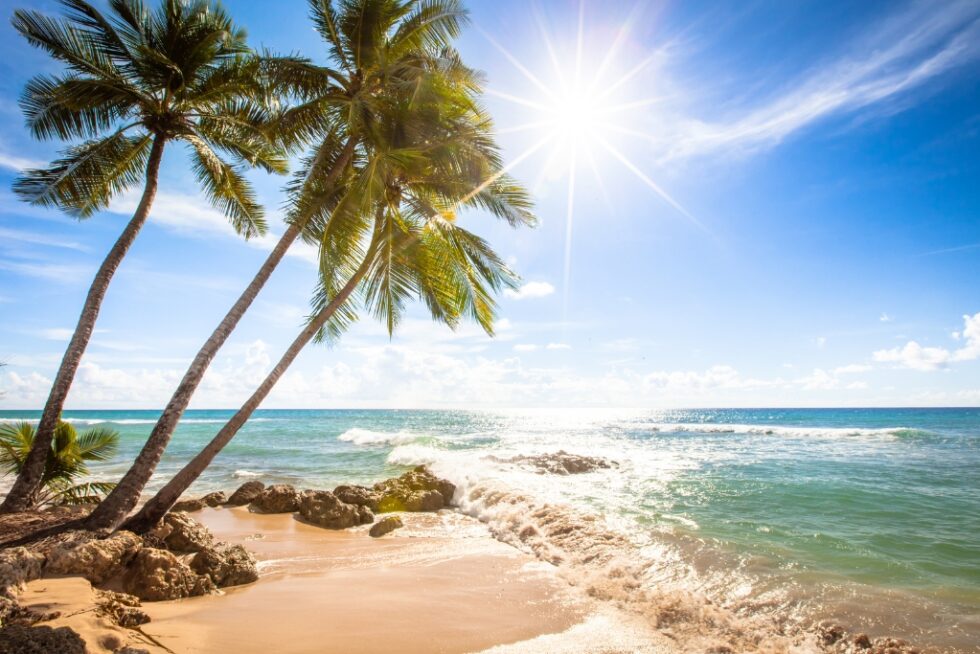 The 9 Best Beaches In Barbados: A Local Guide - ALWAYS ON THE SHORE