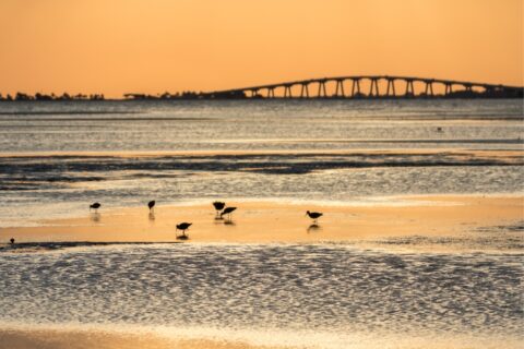The 10 Best Fort Myers Beaches To Visit This Year! - ALWAYS ON THE SHORE