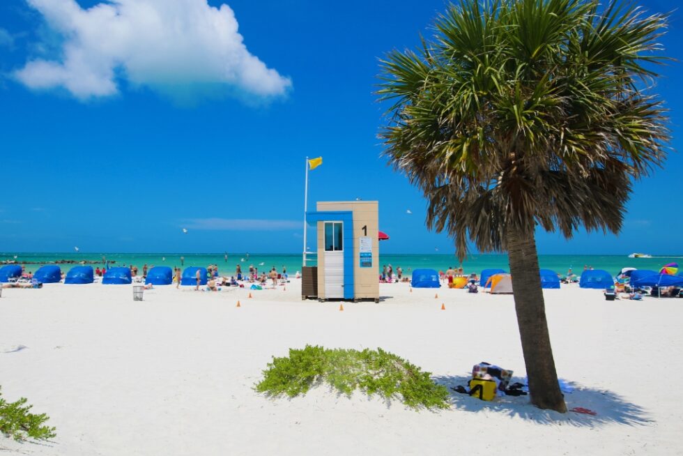 Is It Safe To Swim At Florida Beaches? Assessing Risks & Safety Tips ...