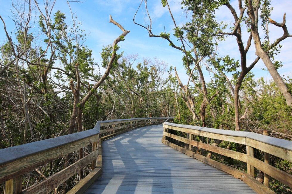 The Best Beaches In Naples FL To Visit! - ALWAYS ON THE SHORE