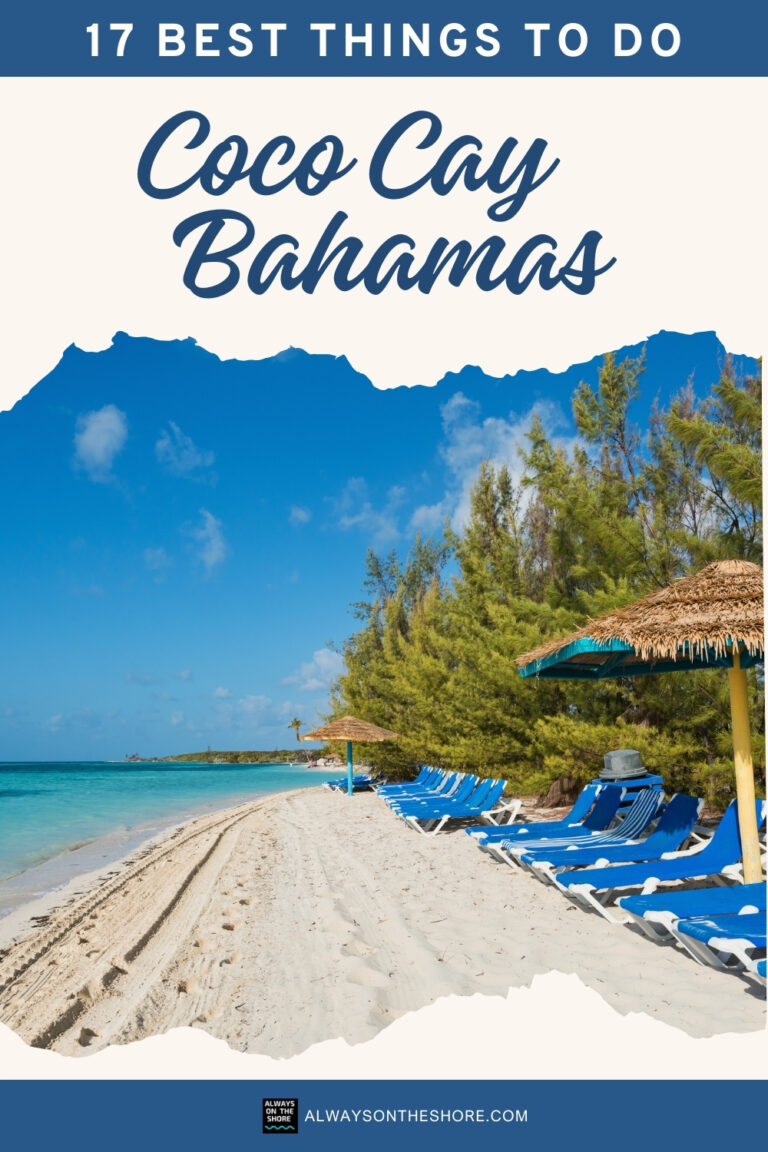 Coco Cay Beach Bahamas- 17 Best Things To Do On The Island! - ALWAYS ON ...