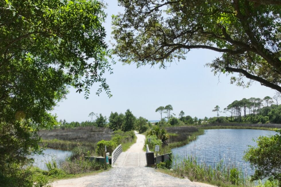 7 Awesome State Parks In Destin & Nearby! - ALWAYS ON THE SHORE