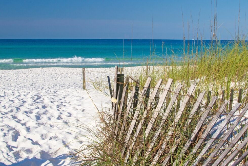 I Spent The Day At Henderson Beach State Park — Here’s Why It’s The ...