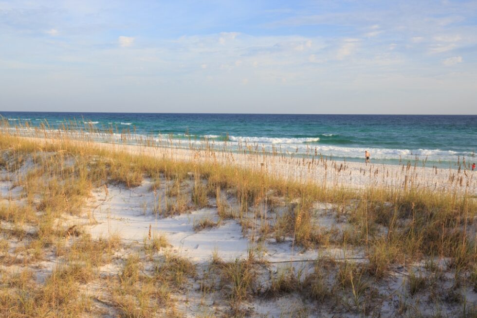 I Spent The Day At Henderson Beach State Park — Here’s Why It’s The ...