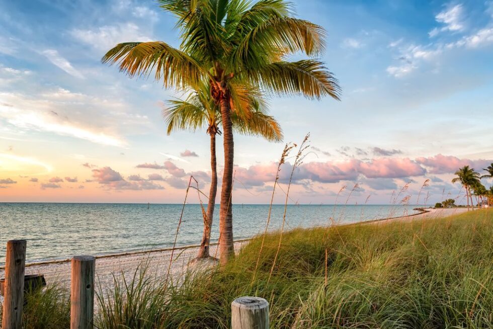 Florida Keys In November: Top Activities To Experience! - ALWAYS ON THE ...