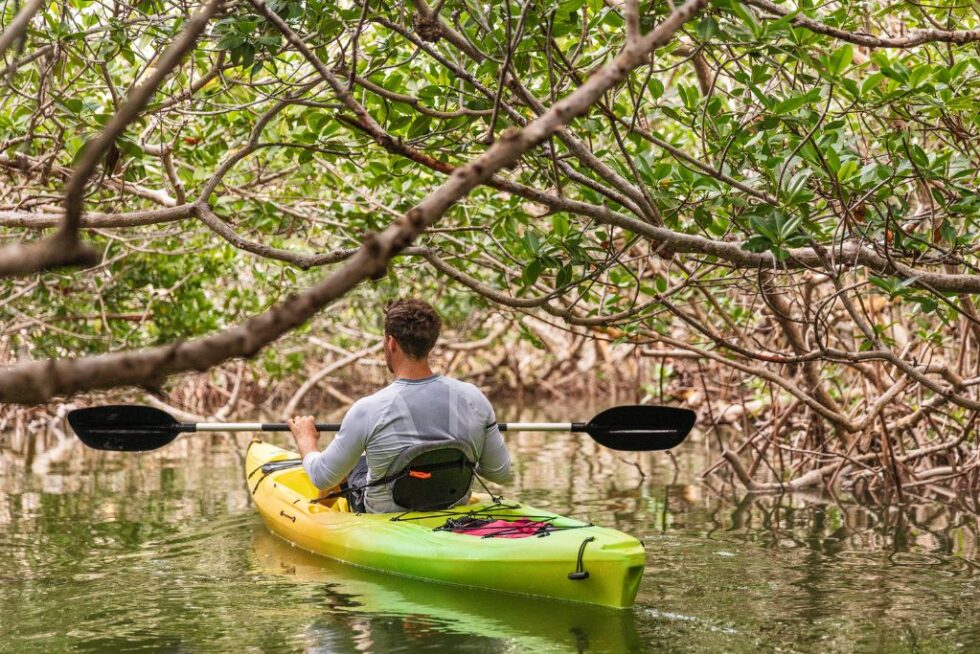 Florida Keys In November: Top Activities To Experience! - ALWAYS ON THE ...
