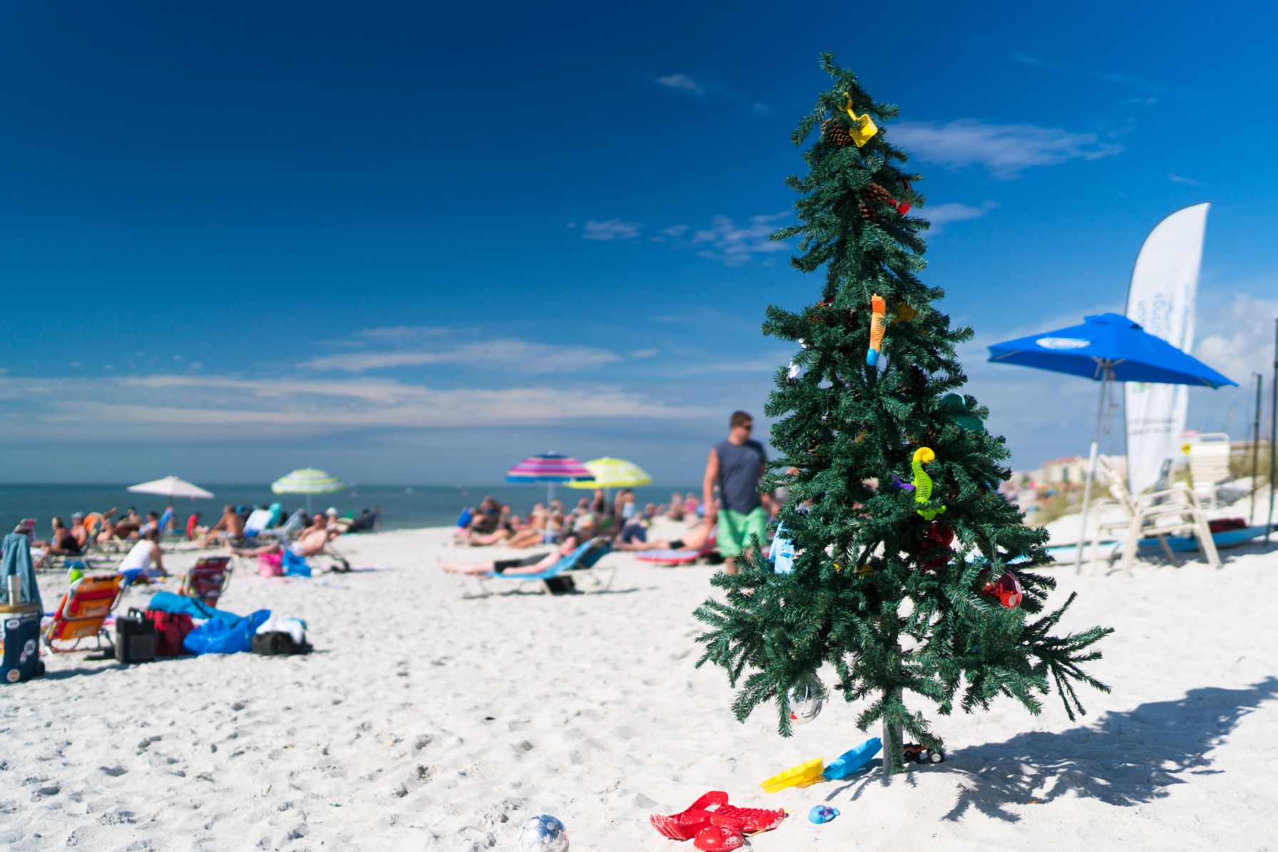 Things To Do In Florida In December: Ultimate Guide To Winter ...