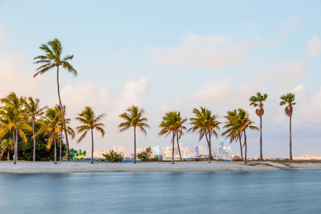 Unforgettable Things to Do in Florida In January: Your Travel Guide ...