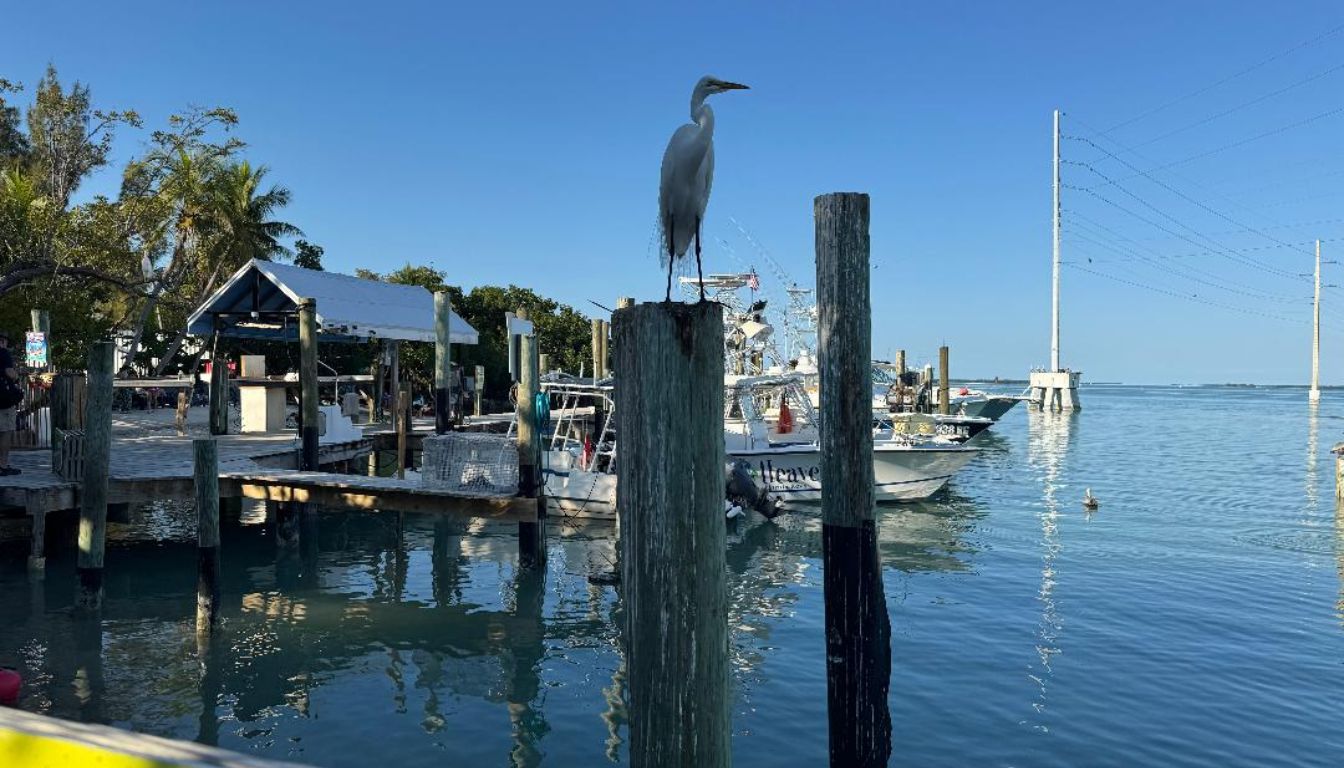 A Foodie’s Guide: 10 Amazing Restaurants To Visit In The Florida Keys ...