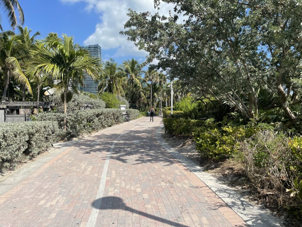 The 10 Most Walkable Cities in Florida (Where You Don’t Need a Car ...