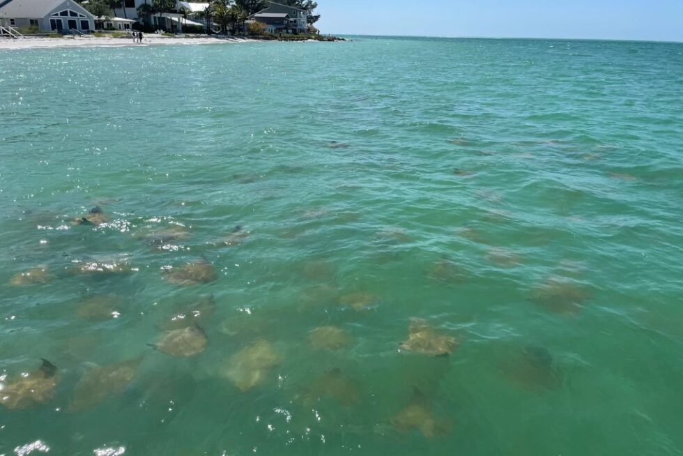 Here's Why Anna Maria Island Was Named One Of The Best Seaside Towns in ...