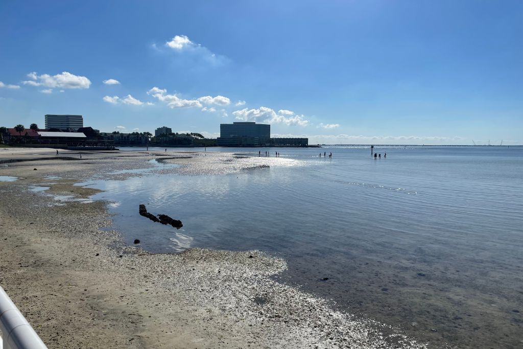 Best Florida Day Trips From Orlando (Within 2 Hours and Totally Worth ...