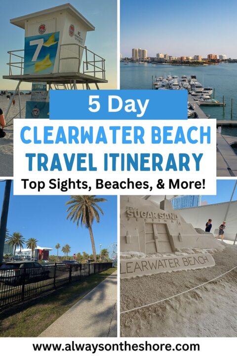 Florida vs. California: Which Is Better For Your Vacation? - ALWAYS ON ...