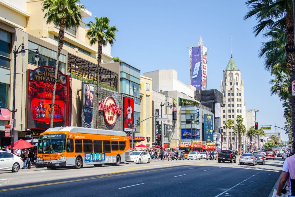 Florida vs. California: Which Is Better For Your Vacation? - ALWAYS ON ...