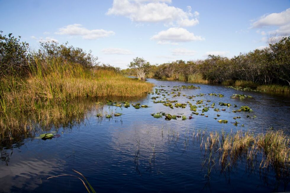 Florida vs. California: Which Is Better For Your Vacation? - ALWAYS ON ...