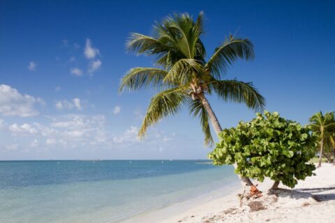 10 Best Beaches In Marathon Florida & Nearby! - ALWAYS ON THE SHORE