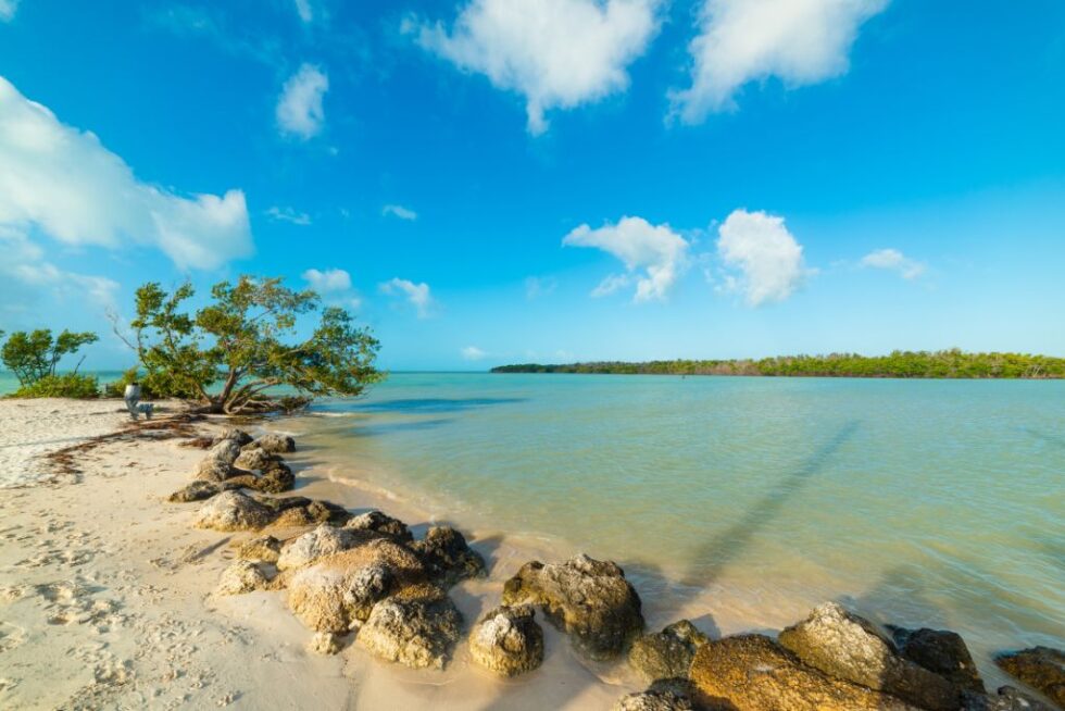 10 Best Beaches In Marathon Florida & Nearby! - ALWAYS ON THE SHORE
