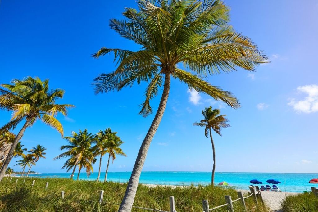 9 Amazing Beaches In Florida For Spring Break - ALWAYS ON THE SHORE