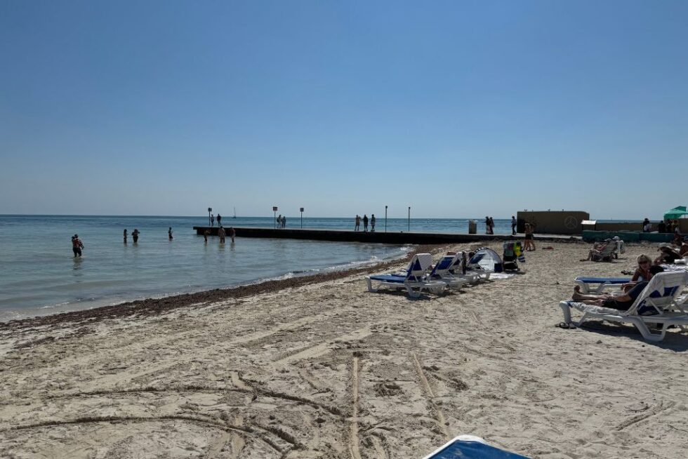 The Best Florida Destinations To Visit In 2026! - ALWAYS ON THE SHORE